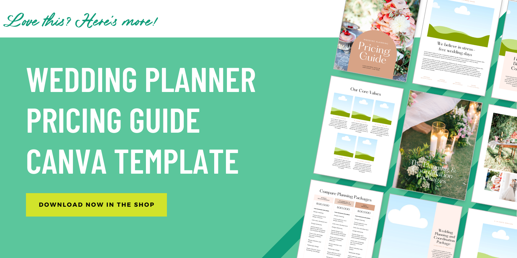 6 Things You Need In Your Wedding Planner Pricing Guide
