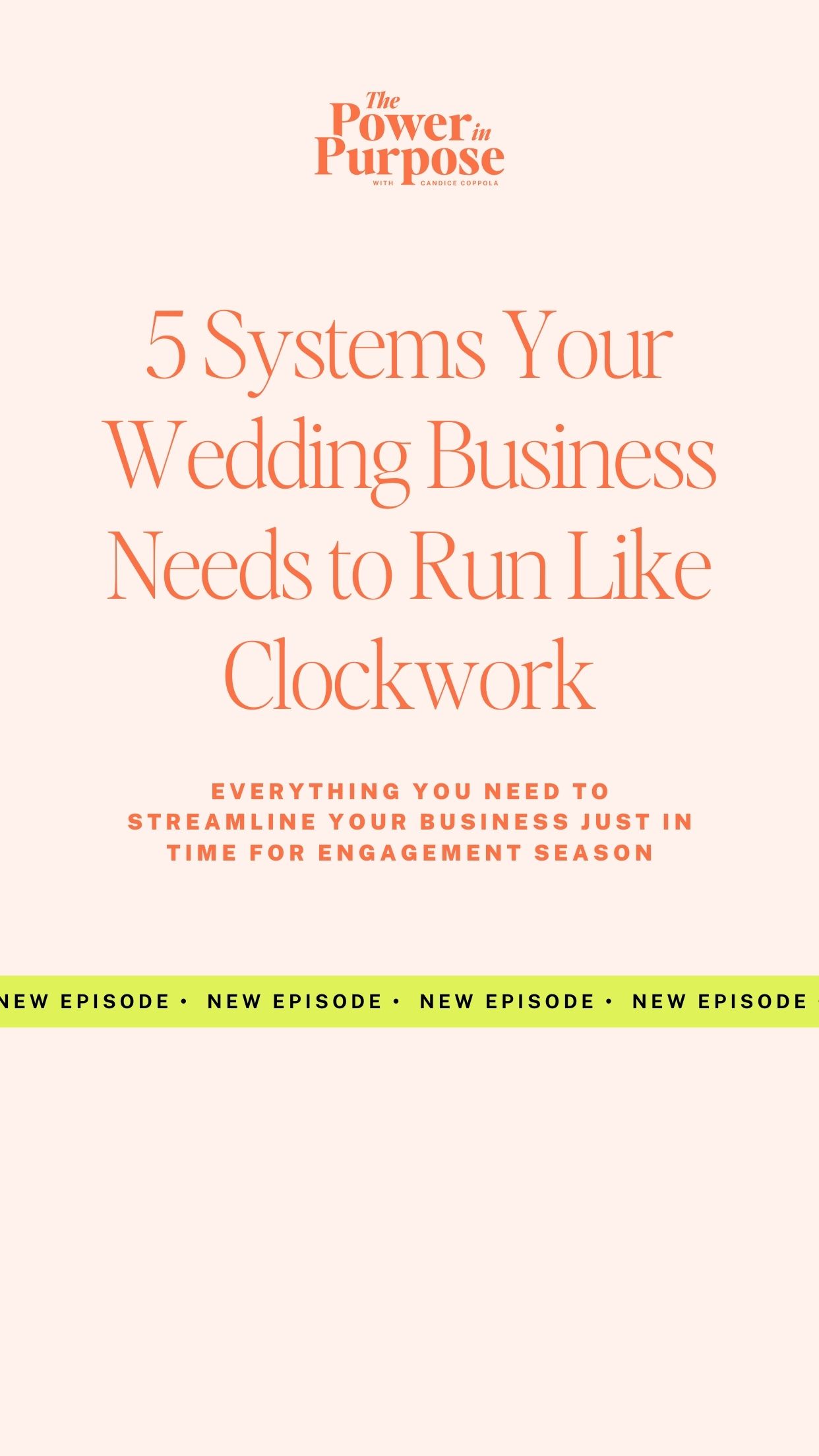5 Wedding Systems Your Business Needs to Run Like Clockwork